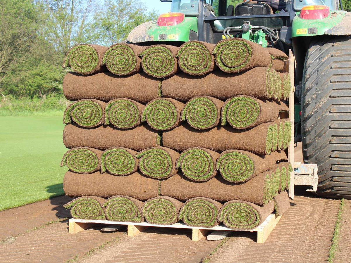 Premium Turf | Freshly Cut | Premium Quality