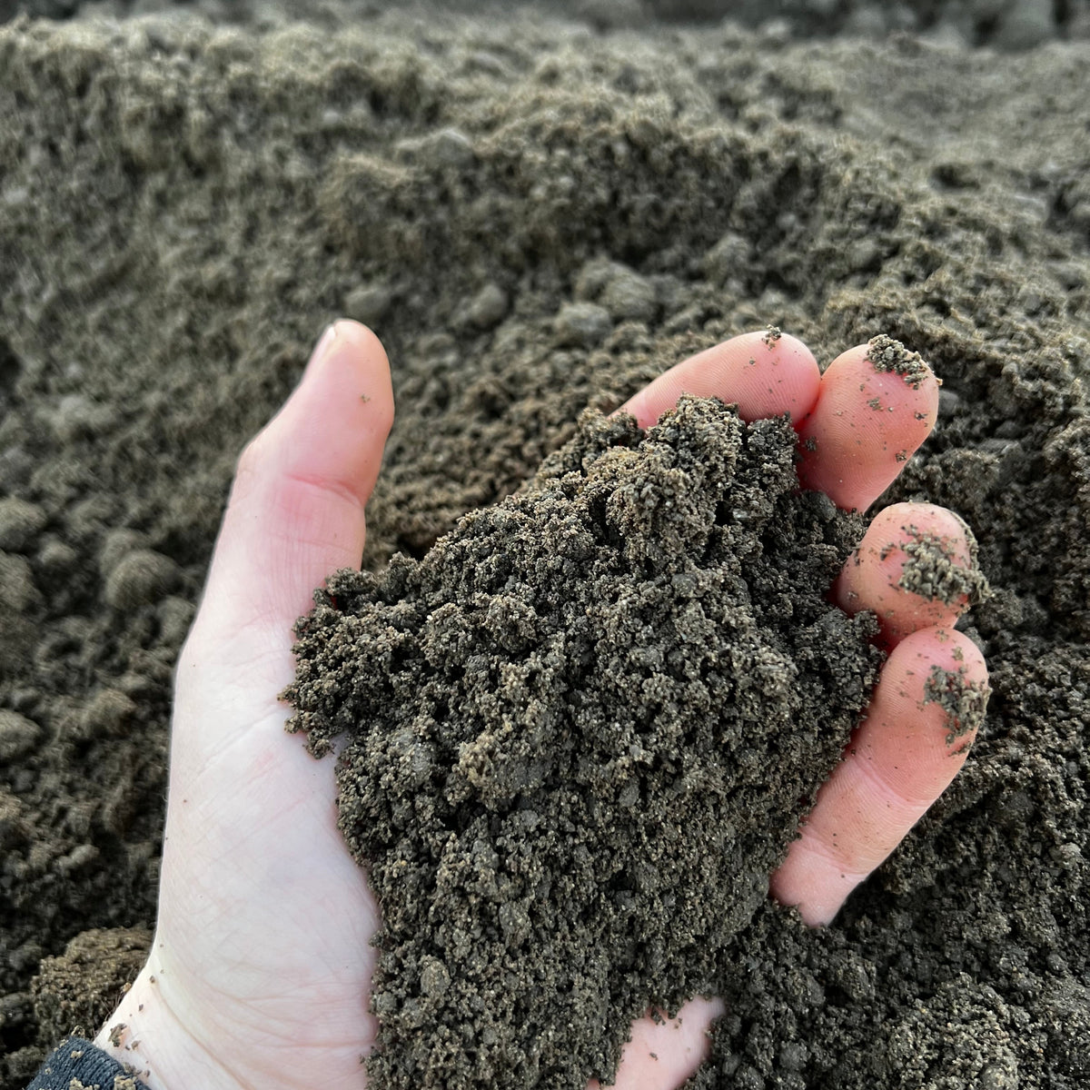 Top Soil - Vegetable Growing | Loose Tipped