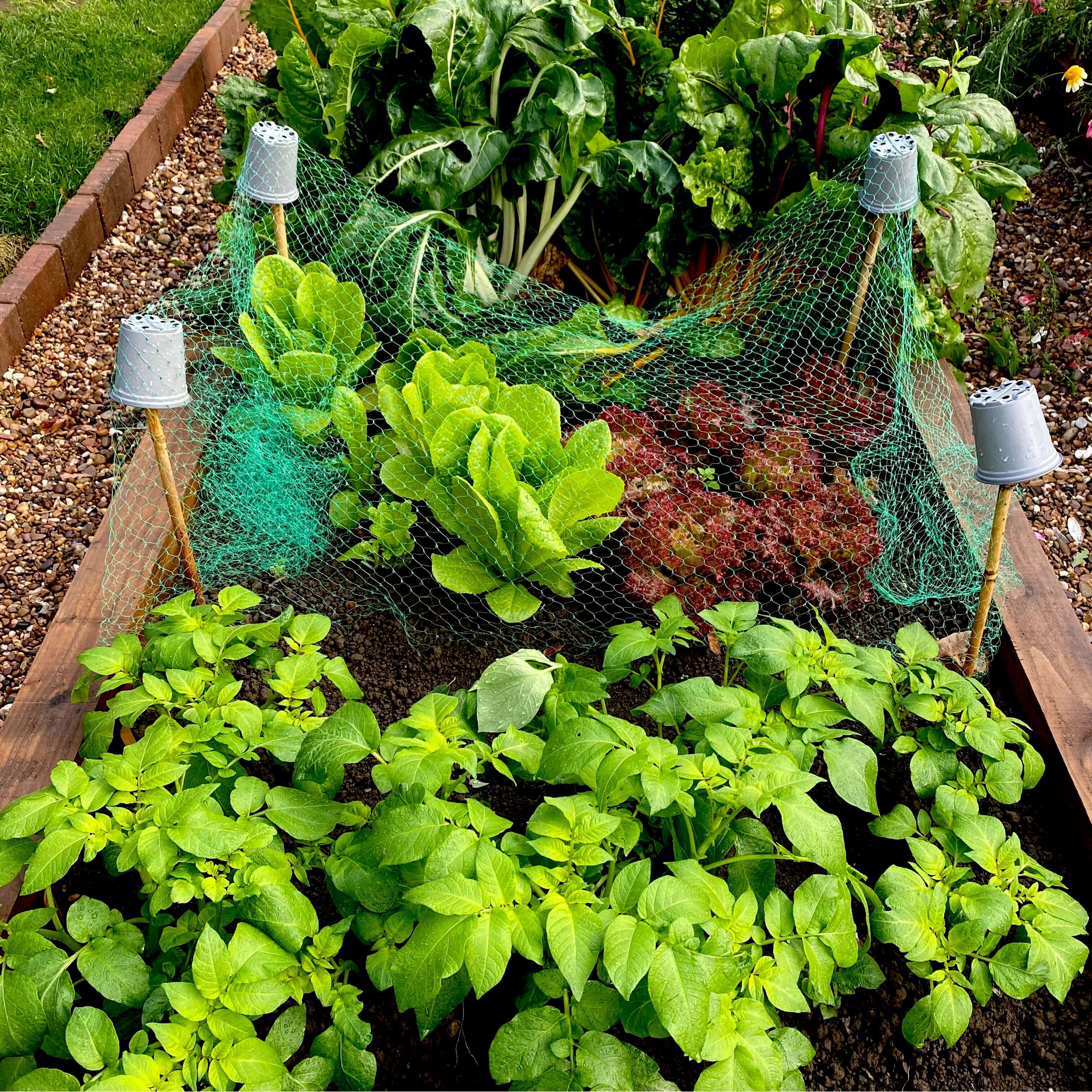 Vegetable Growing Topsoil Bulk Bags | Allotment & Garden Top Soil UK